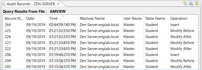 AM 16 | AuditMaster | Querying Audit Records